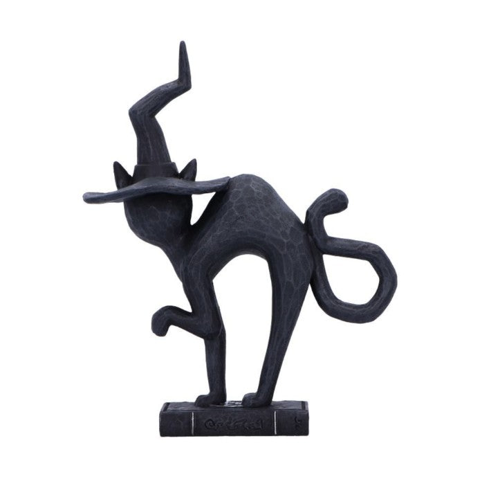 Nemesis Now Hex Spell Cat Figurine 15.2cm – Gothic Black Cat with Witch ...