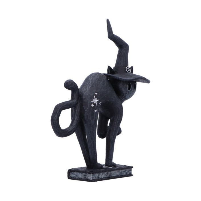 Nemesis Now Hex Spell Cat Figurine 15.2cm – Gothic Black Cat with Witch ...
